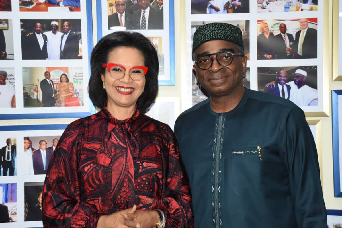 Adenike Ogunlesi Wiki
