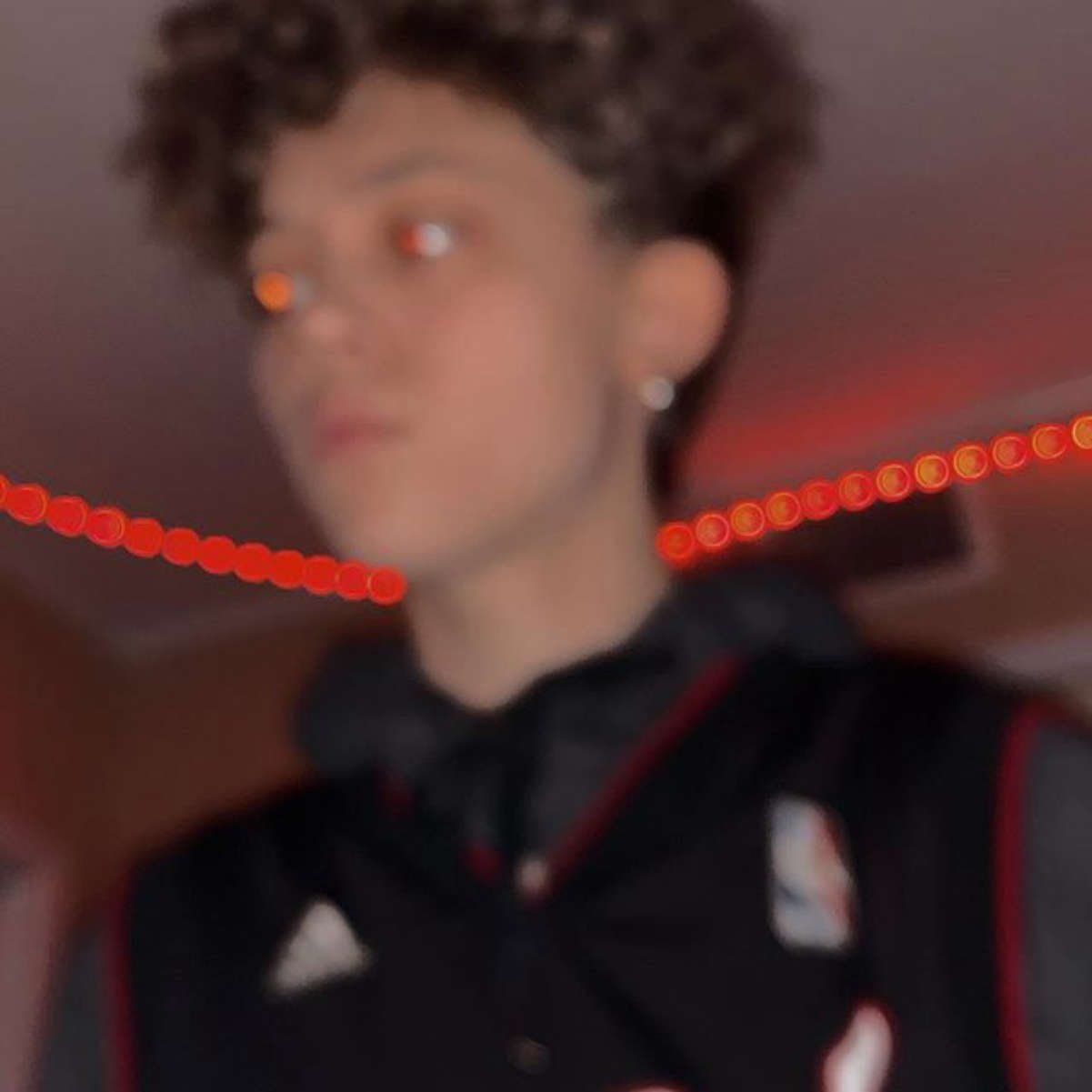 Adrian Mich (TikTok Star) Wiki