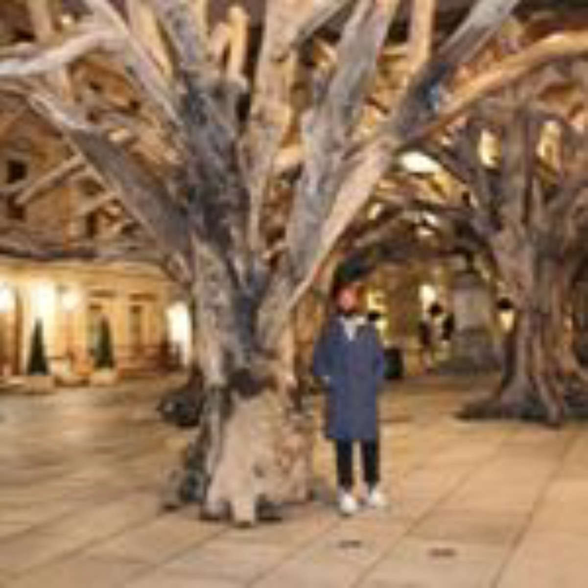 Candice Pool Neistat Wiki