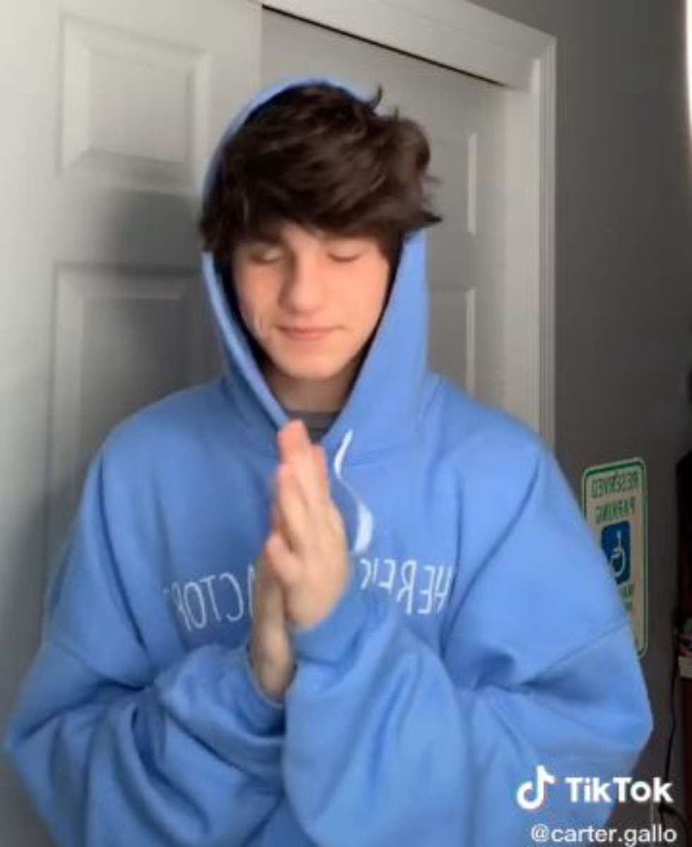 Carter Gallo Wiki
