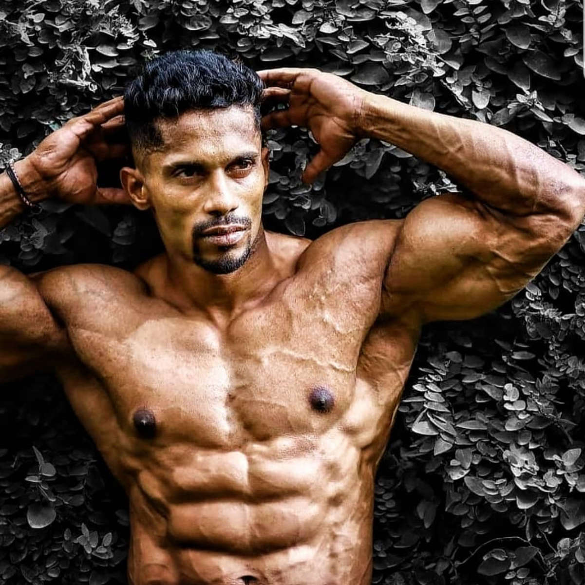 Chitharesh Natesan Wiki