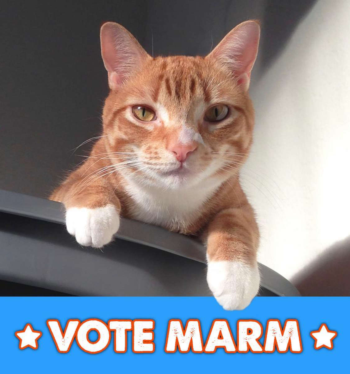 Cole & Marmalade Wiki