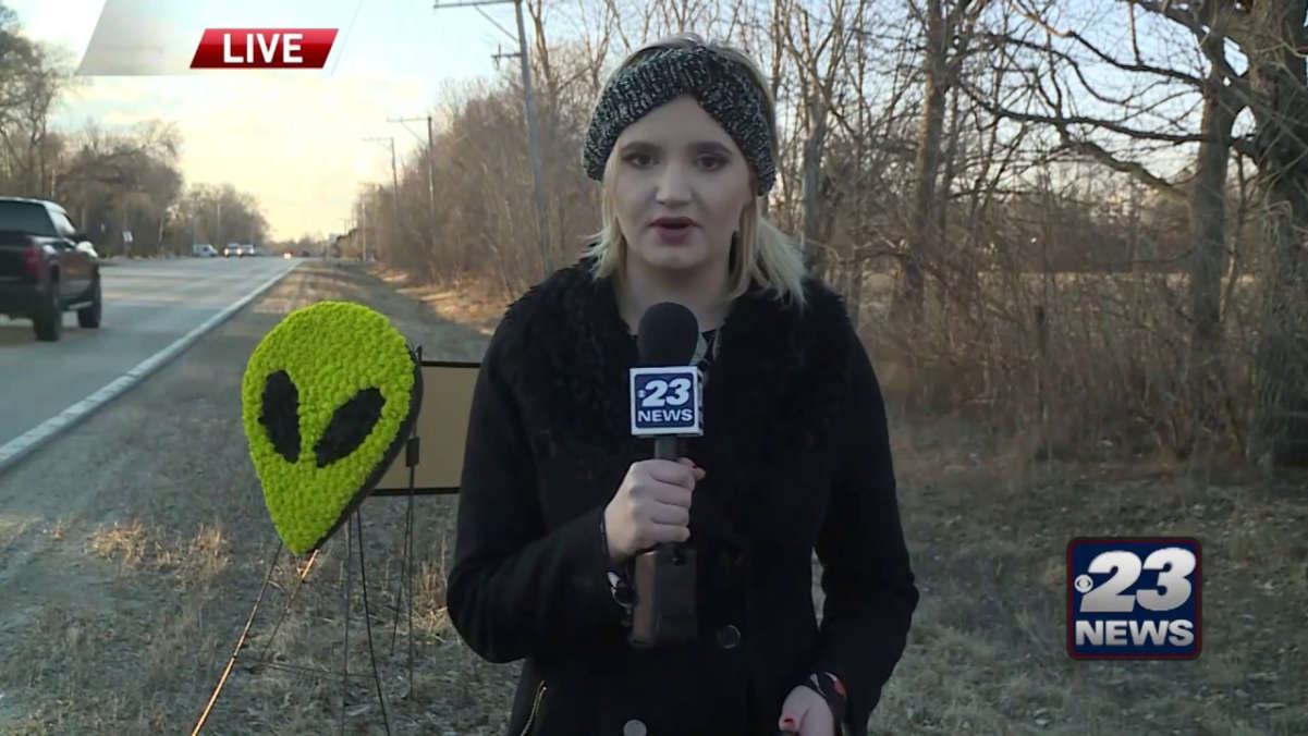 Courtney Bunting Wiki