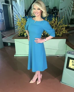 Diane McInerney Wiki & Bio - Reporter