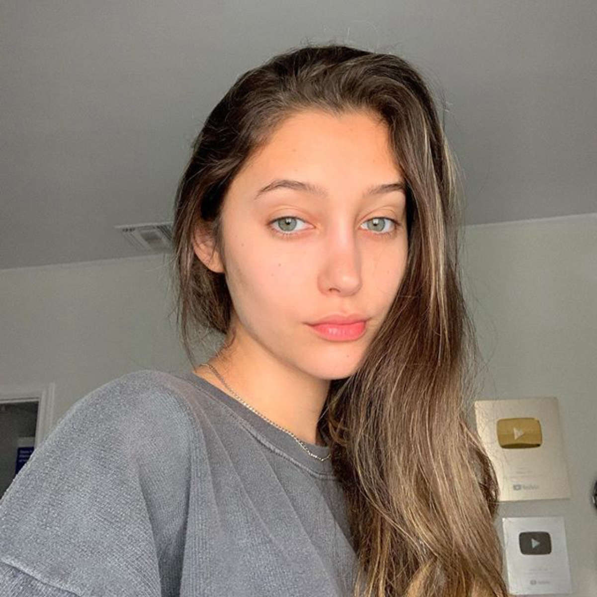 Hailey Sani Wiki