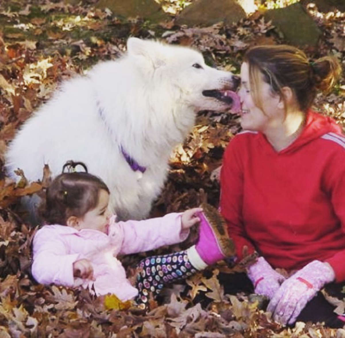 Heather O'Rourke (Reporter) Wiki