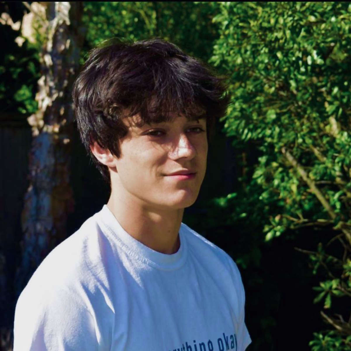 Jackson Green (TikTok star) Wiki