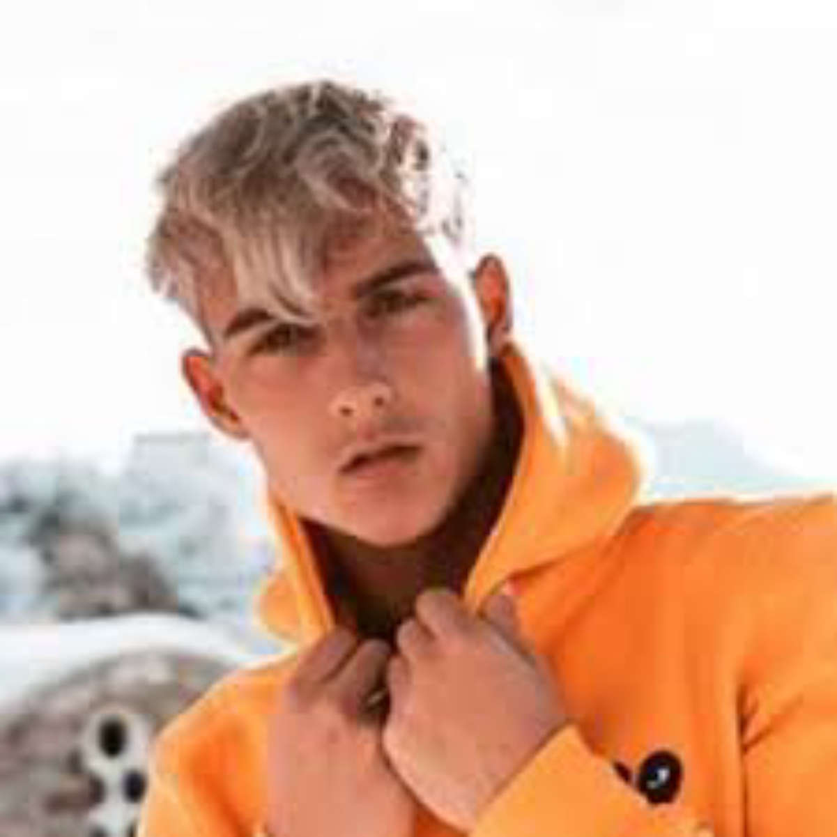 Levy Van Wilgen Wiki