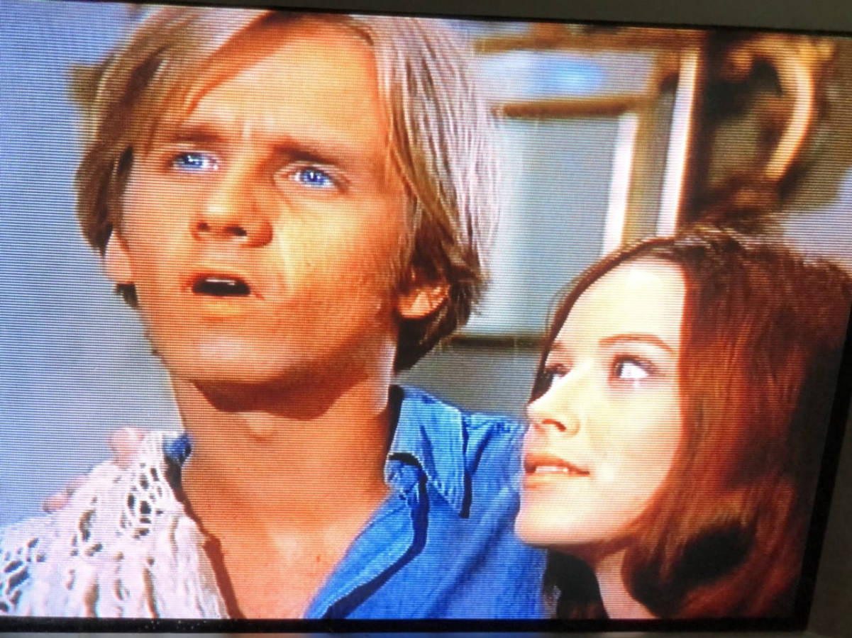 Patricia Mattick Wiki