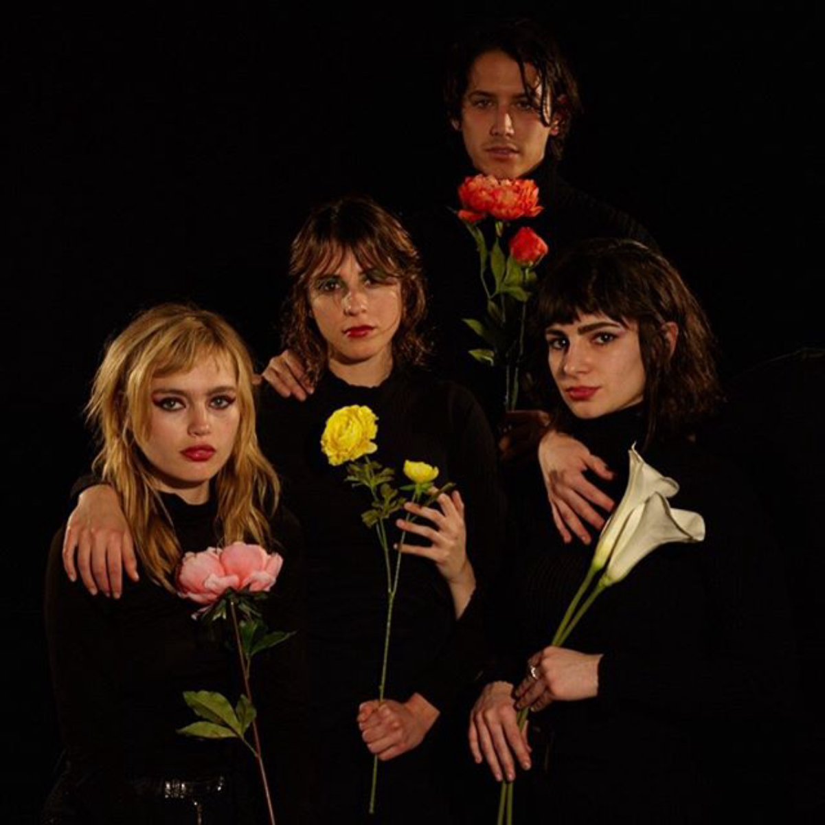 The Paranoyds Wiki