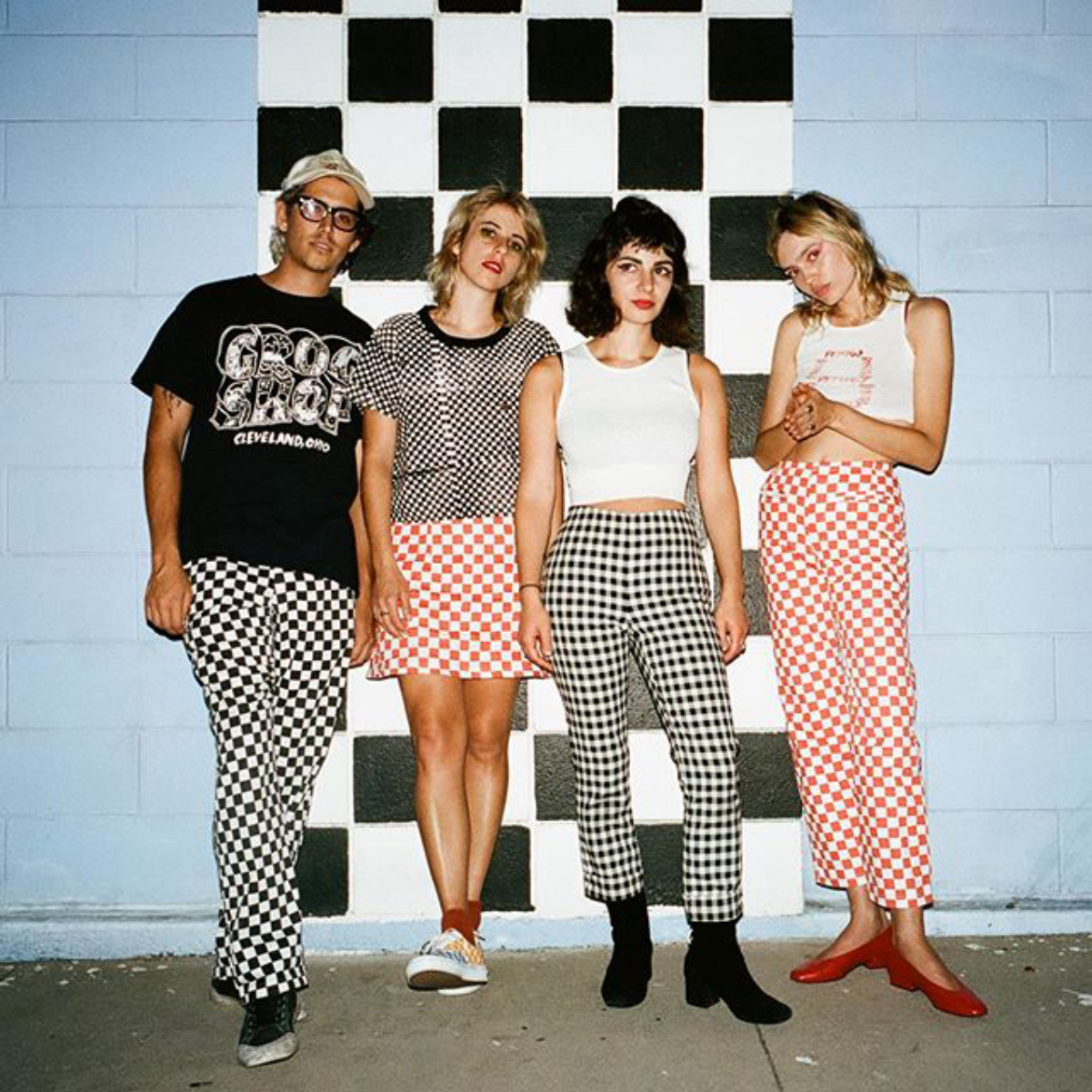 The Paranoyds Wiki