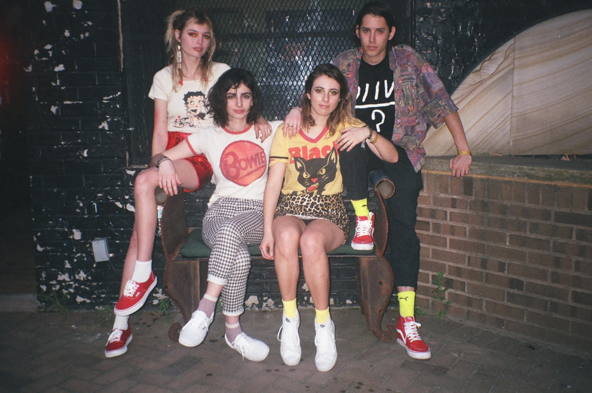 The Paranoyds Wiki