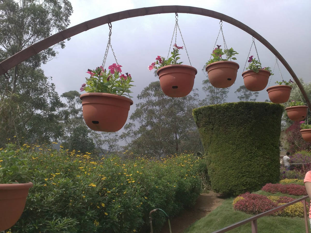 Top 5 places to visit in Vagamon Wiki