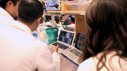 Nasim Annabi Wiki & Bio - Professor