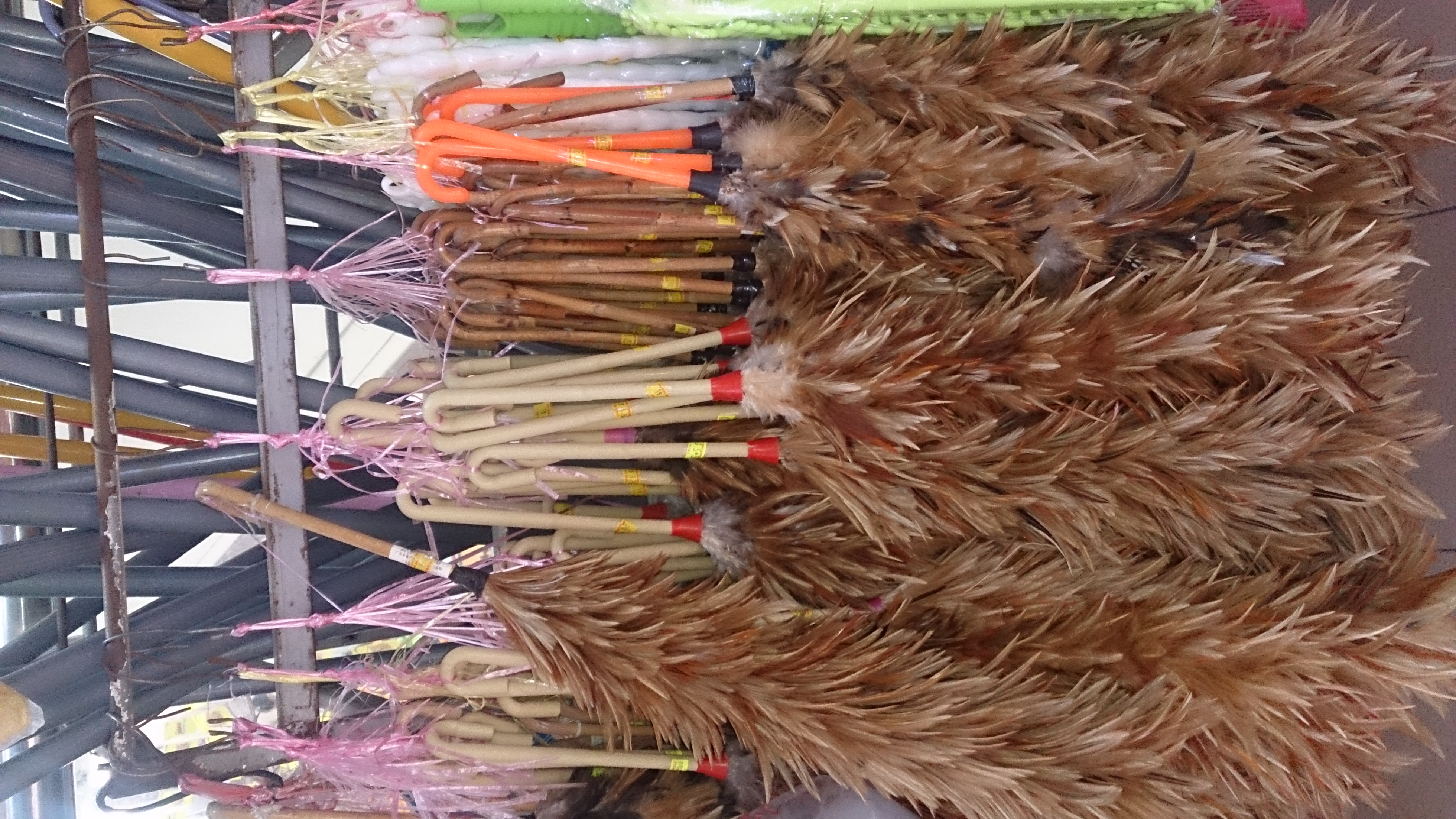 Feather Duster | Wiki | Everipedia