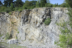 Danelle Geier Wiki & Bio