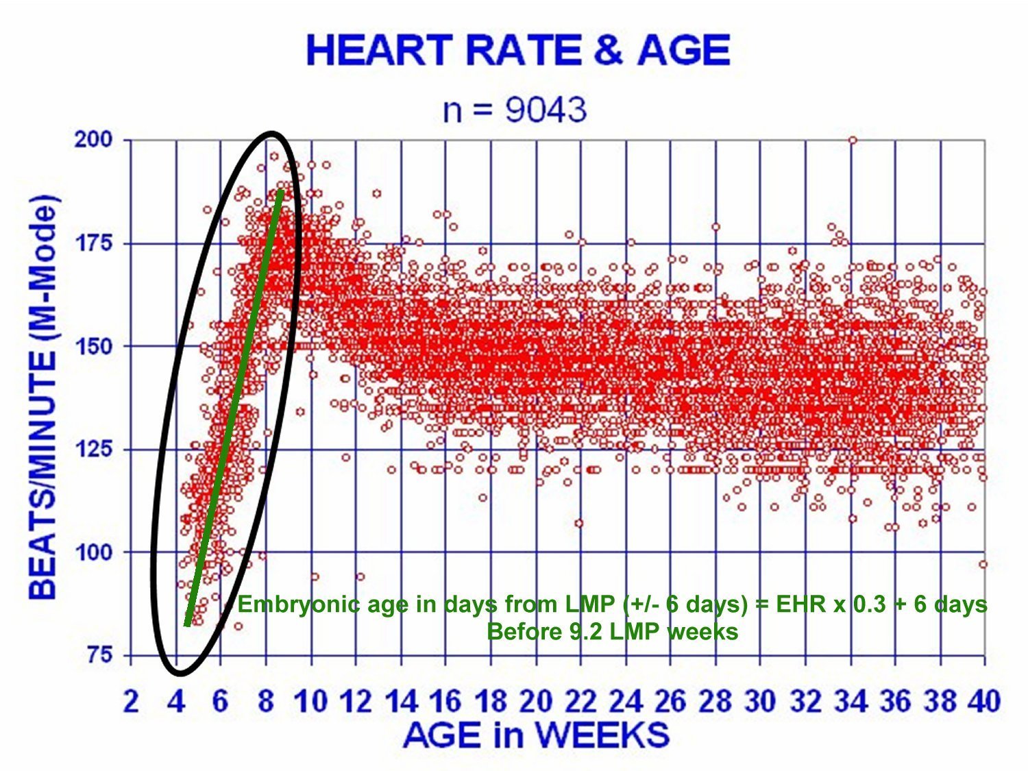 Heart rate | Wiki | Everipedia
