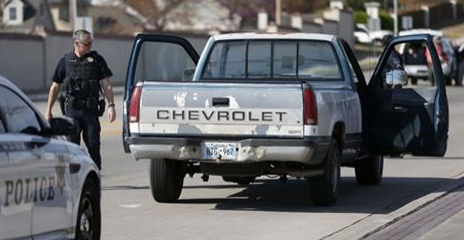 Madison Dickson Wiki