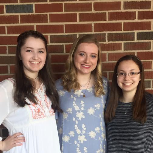 Sarah Harmening Wiki