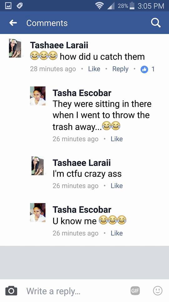 Tasha Escobar Wiki