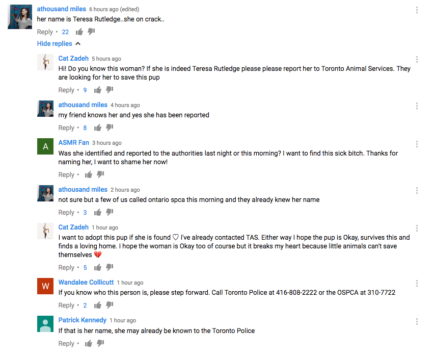 Teresa Rutledge Wiki