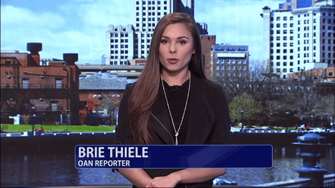 Brie Thiele Wiki