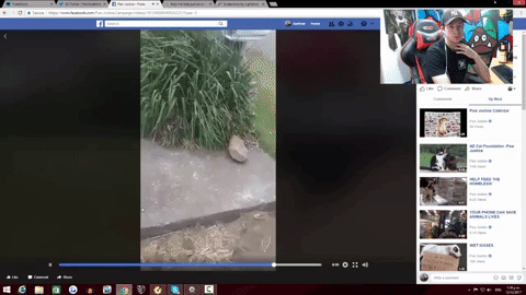 Lina Grace Mackie Wiki