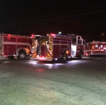 Anthony Milan Ross Wiki