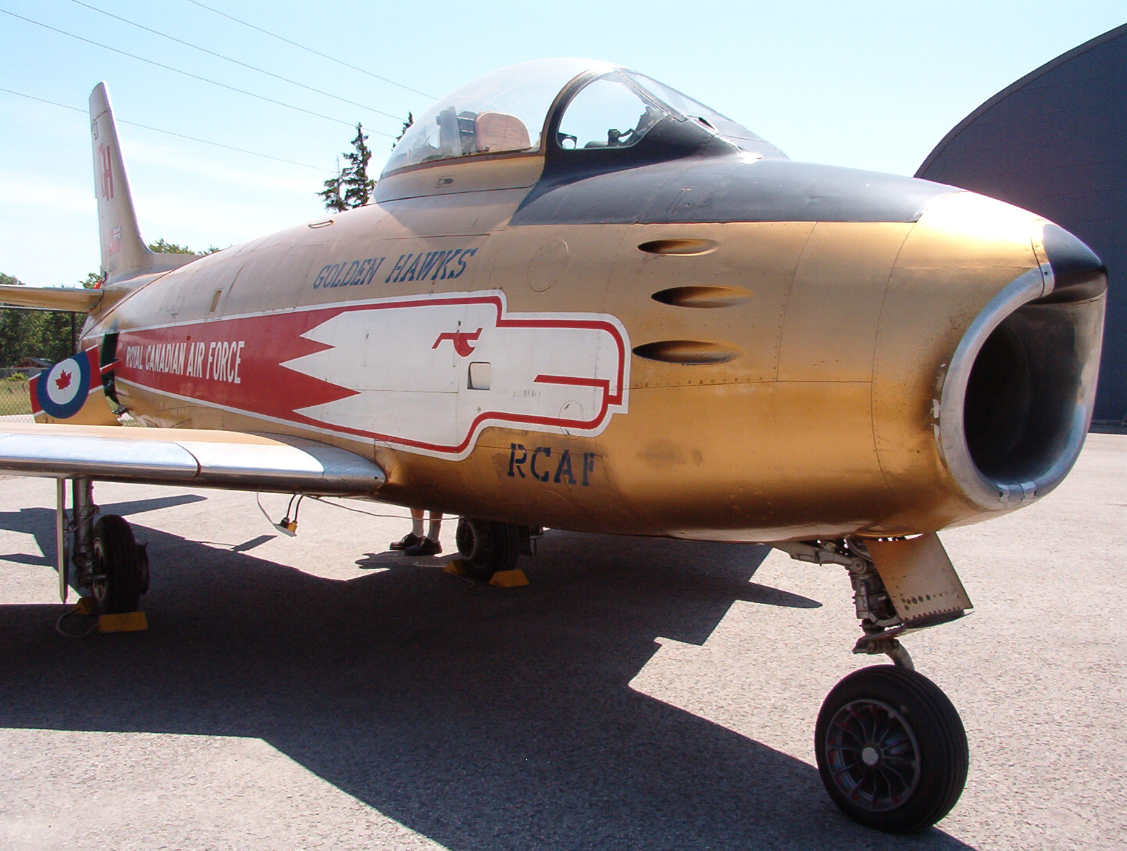 Golden Hawks | Wiki | Everipedia