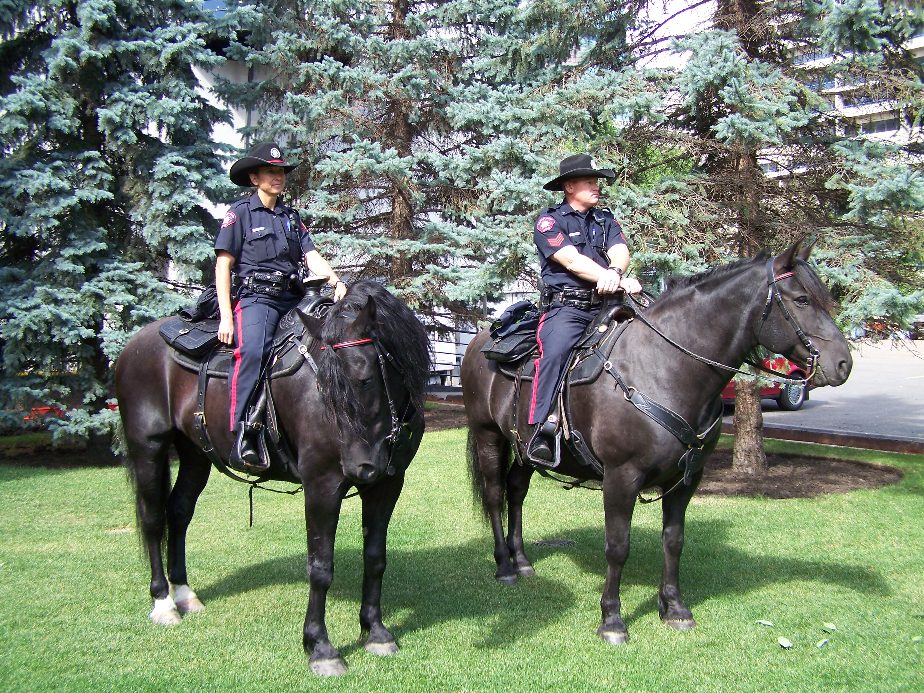 Calgary Police Service | Wiki | Everipedia