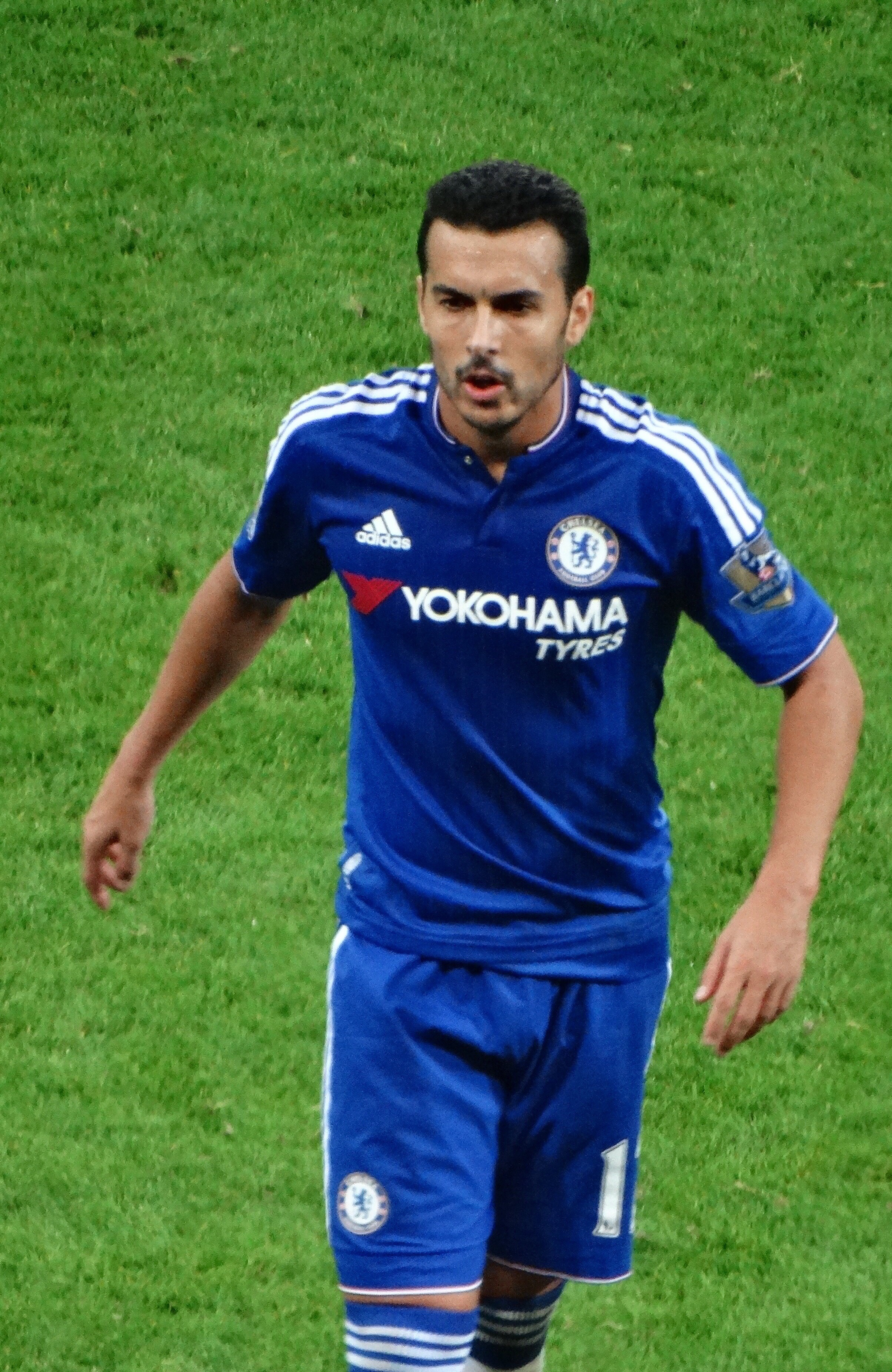Pedro (footballer, born July 1987) | Wiki | Everipedia Pedro (footballer, born July 1987) | Wiki | Everipedia