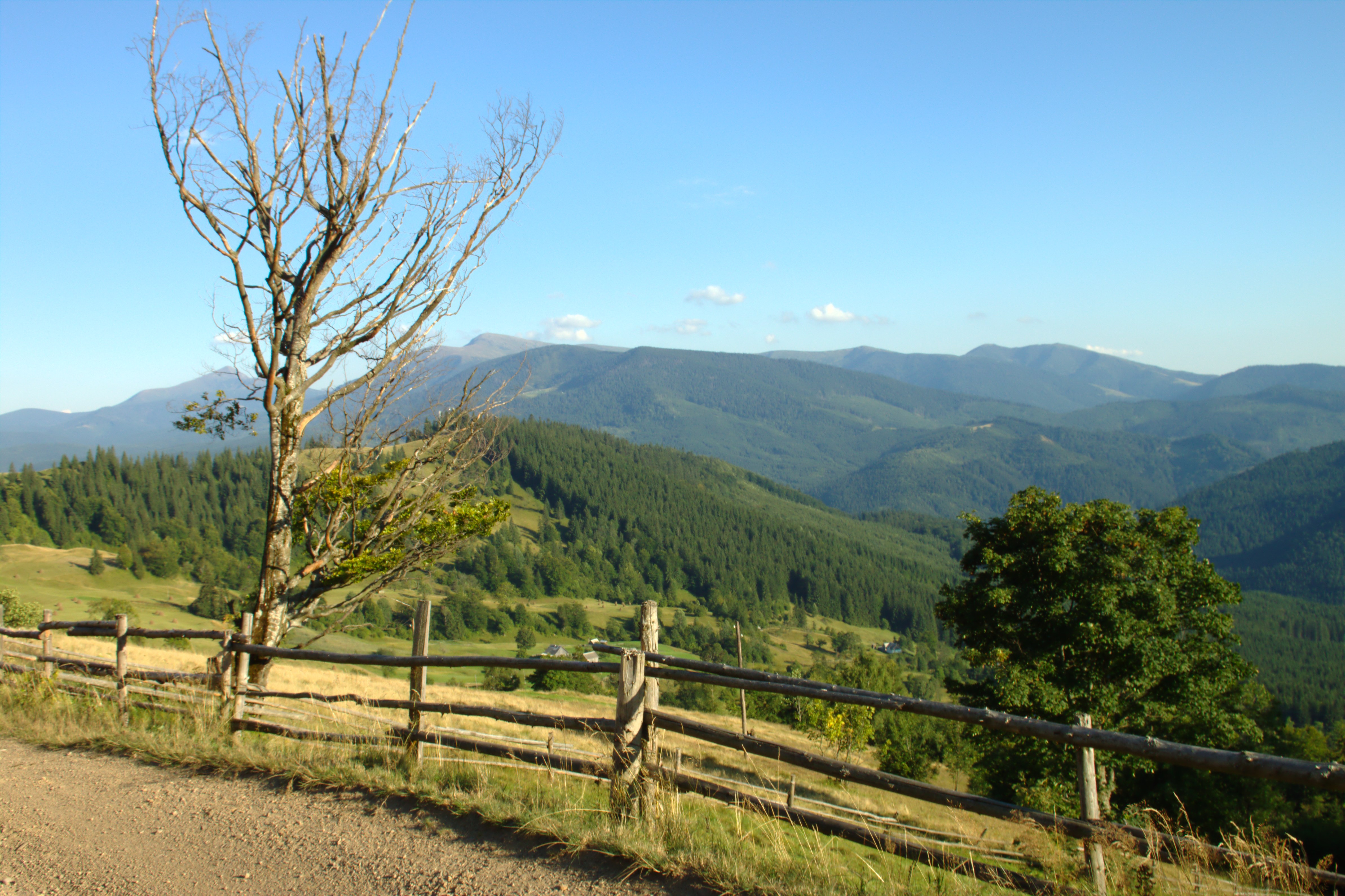 Carpathian Ruthenia | Wiki | Everipedia