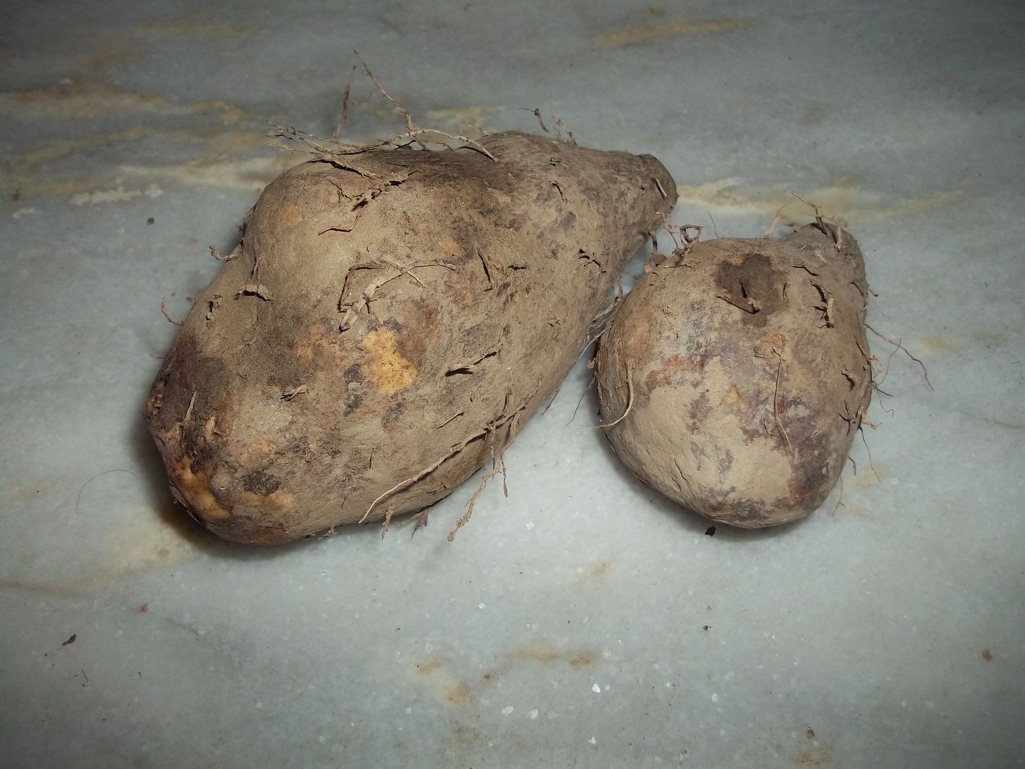 Yam (vegetable) | Wiki | Everipedia