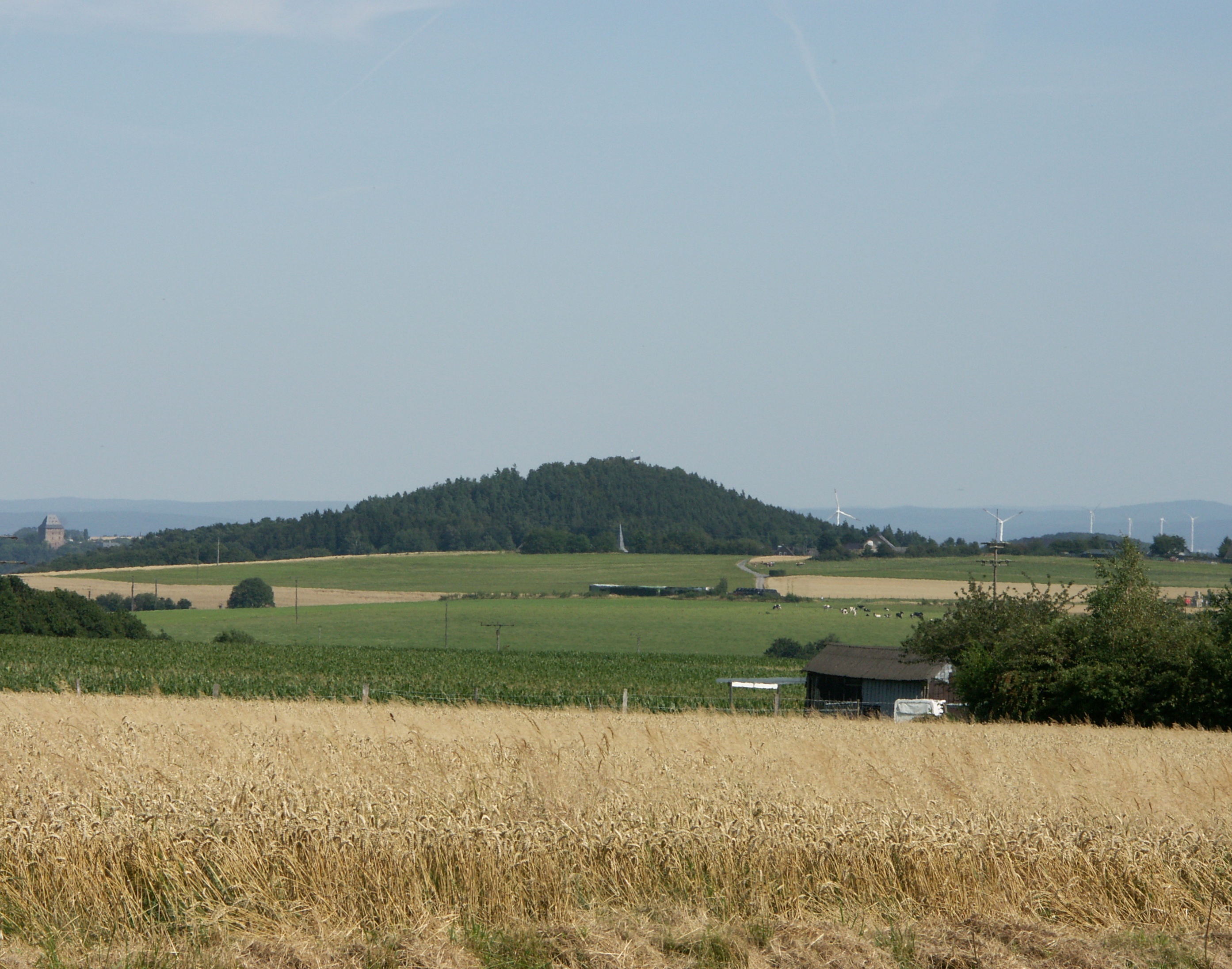 Hürtgenwald | Wiki | Everipedia