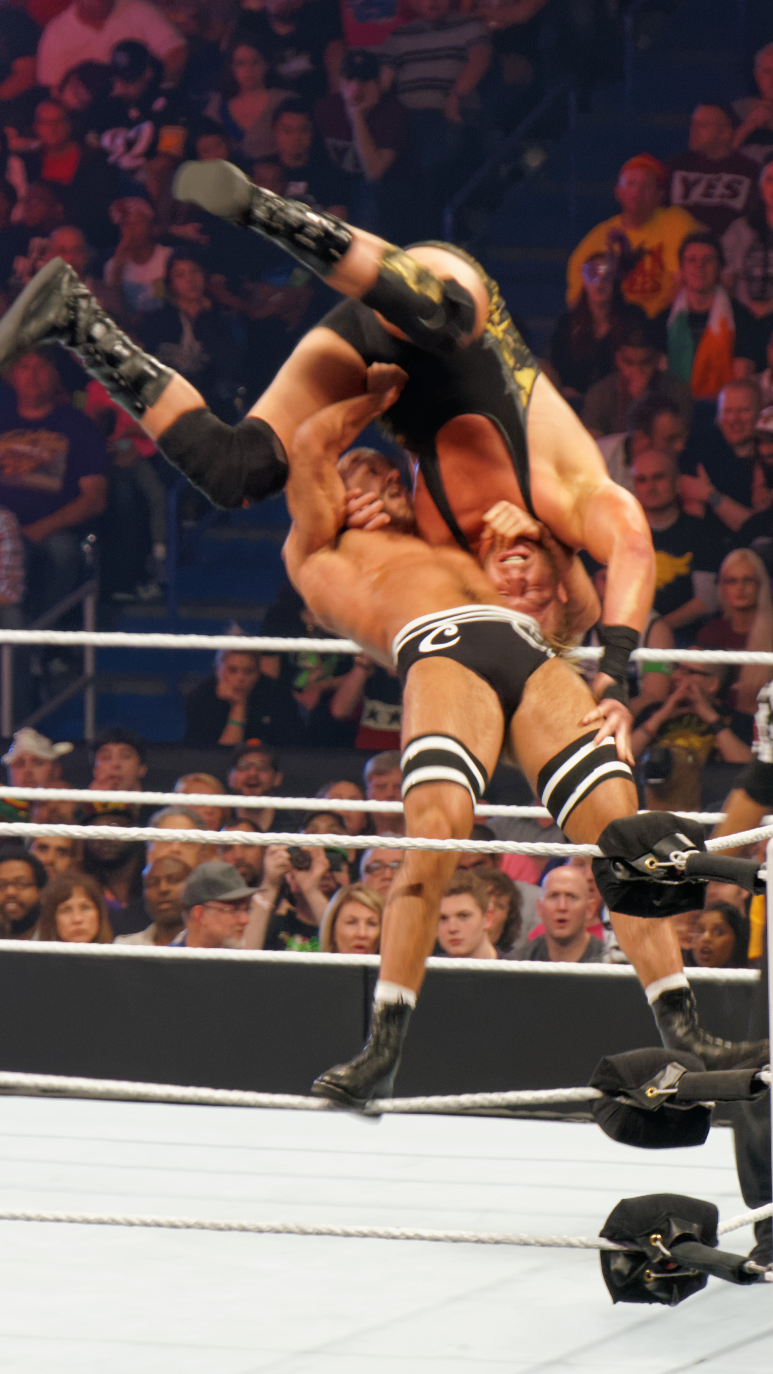 Suplex | Wiki | Everipedia