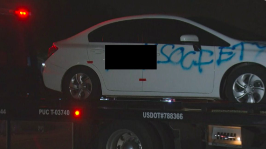 Devon Erickson | Wiki | Everipedia