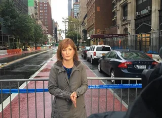 Anna Werner (Correspondent) Wiki & Bio