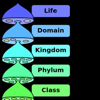 Who Is The Father Of Biological Classification