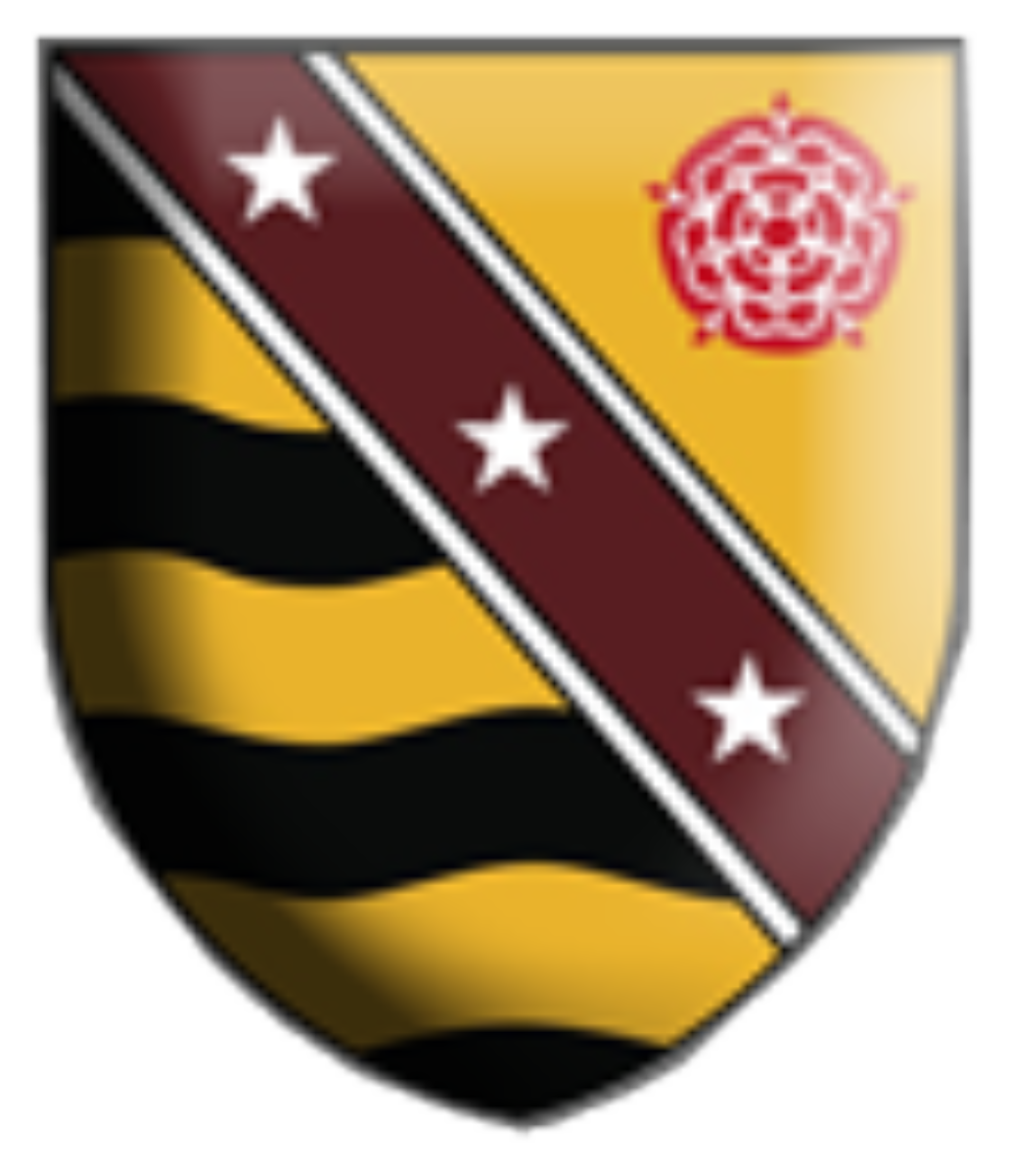 Blackpool Fylde Logo