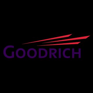 Goodrich Martians Logo