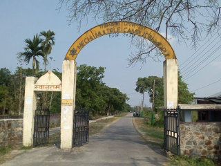 Arpan Sharma Kattel Wiki