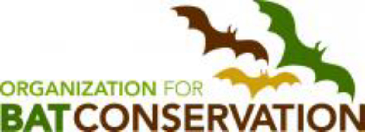 Organization For Bat Conservation Logo