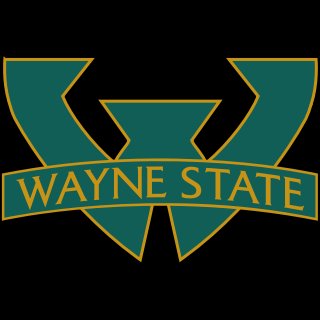 Wayne Warrior Logo