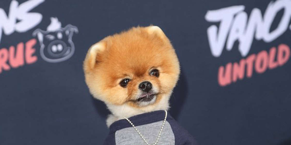 JiffPom Wiki