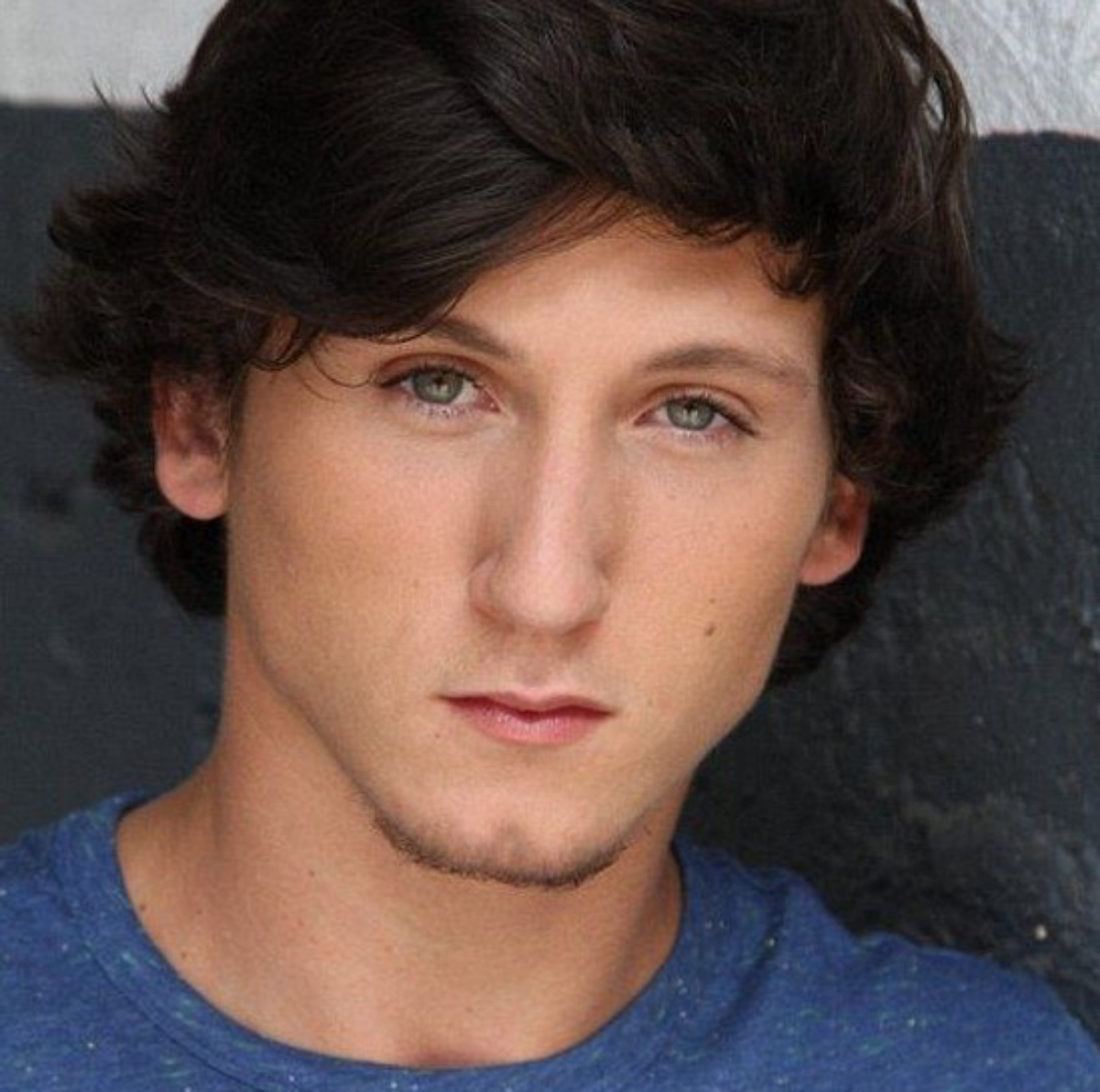 Dante Stallone Wiki