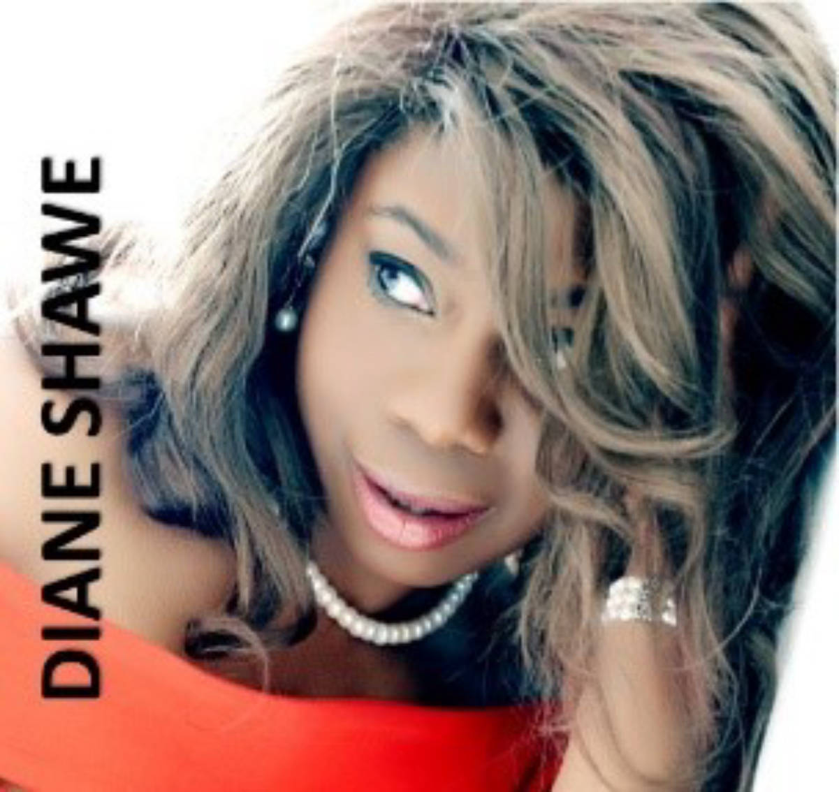 Diane Motto's Instagram, Facebook & TikTok on IDCrawl