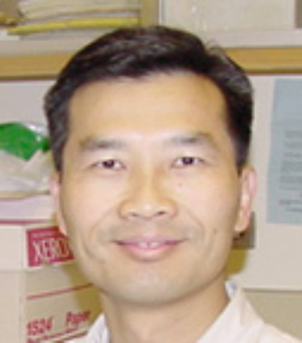 Hong Wang's Instagram, Twitter & Facebook on IDCrawl