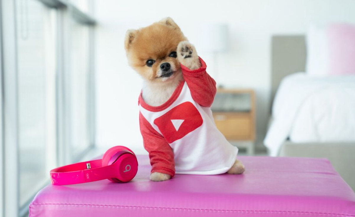 JiffPom Wiki