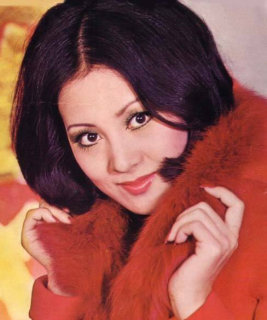 Lily Ho Li Li Wiki & Bio - Actress