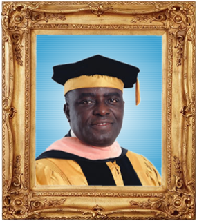 Peter Okebukola (Prof.) Wiki & Bio
